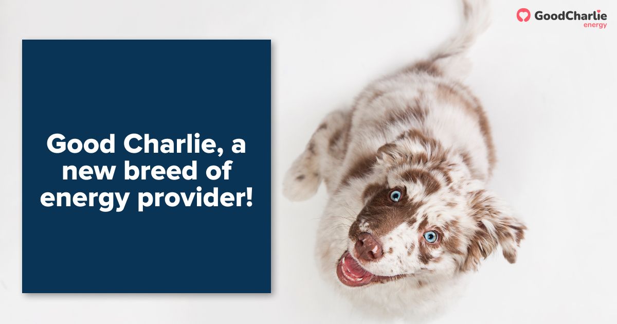 GoodCharlie Rates, Ratings & Reviews