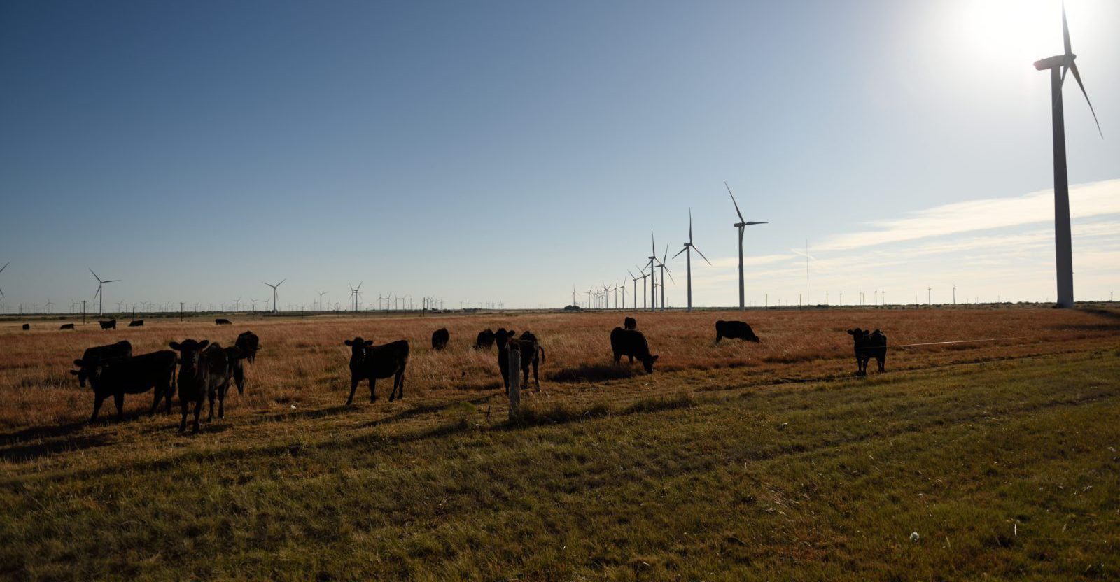 Texas Energy Choice: What is It, and How Does It Work?