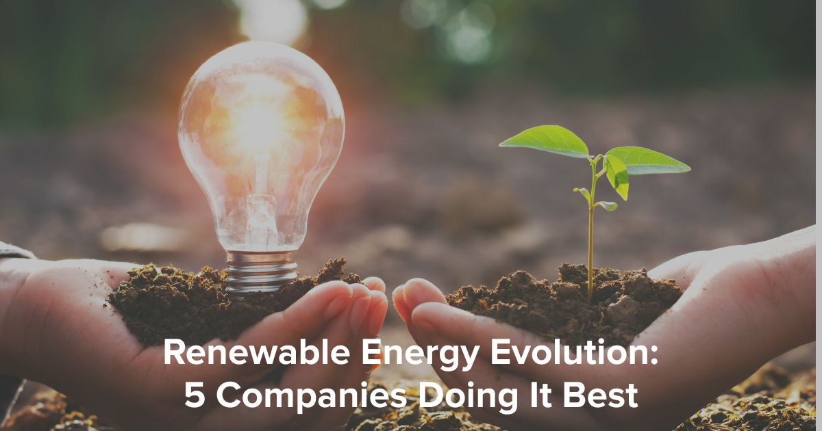 Renewable Energy Evolution: 5 Companies Doing It Best