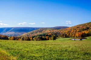 PA Power Switch: The Best Way to Compare PA Rates?