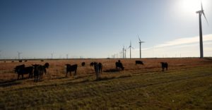 Texas Energy Choice: What is It, and How Does It Work?